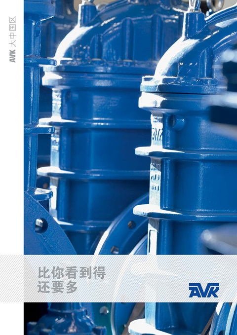 下载 - AVK China